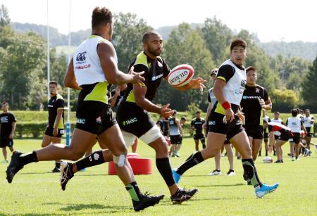 ラグビー代表リーチや堀江ら確実/スポーツ/デイリースポーツ online