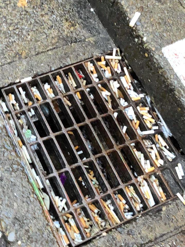 ゲーム感覚で「たばこのポイ捨て問題」を解決 参加型社会貢献プロジェクト「ポイ捨て図鑑」/芸能/デイリースポーツ online