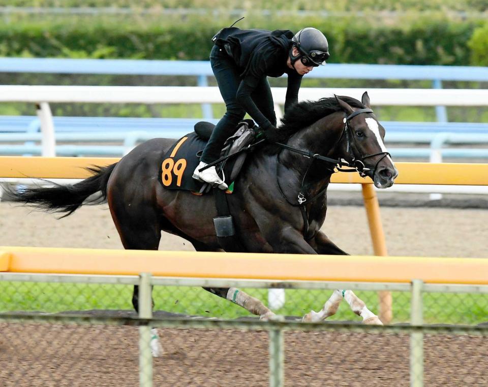 【レパードS】エピカリス主役は譲れない！5馬身差先着で態勢万全/競馬・レース/デイリースポーツ online