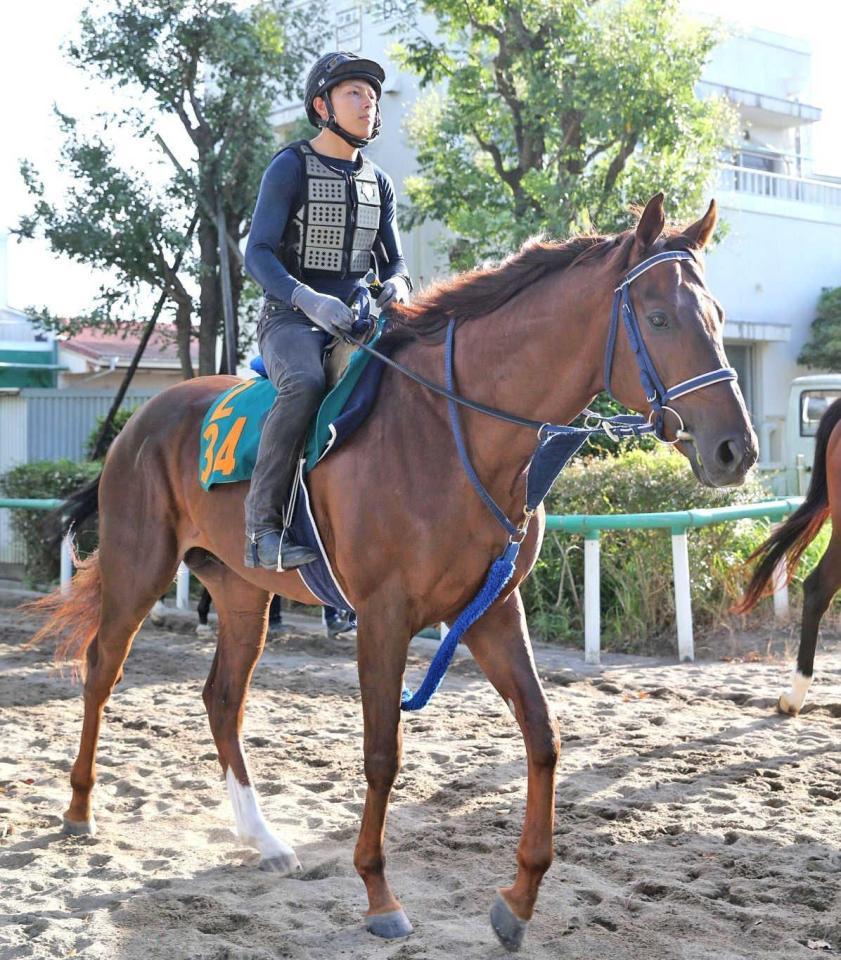 【新潟2歳S】アンブロークン 大物感十分 石川は仕上がりに手応え「自信ある」/競馬・レース/デイリースポーツ online
