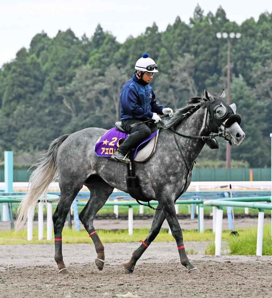 【毎日王冠】アエロリット 勝って米G1・BCマイルへ 名手モレイラと初コンビ/競馬・レース/デイリースポーツ online