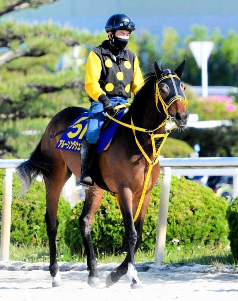 【NHKマイルC】アルーリングウェイ 仕上がり手応え 藤岡師「順調」/競馬・レース/デイリースポーツ online