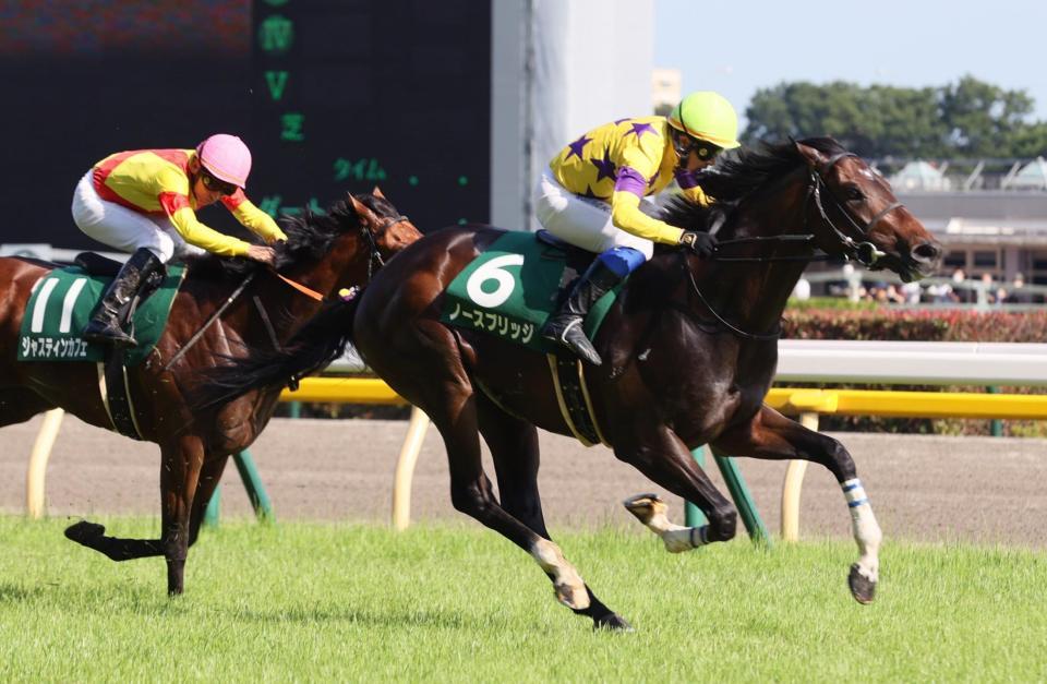 【エプソムC】4番人気のノースブリッジが重賞初制覇/競馬・レース/デイリースポーツ online