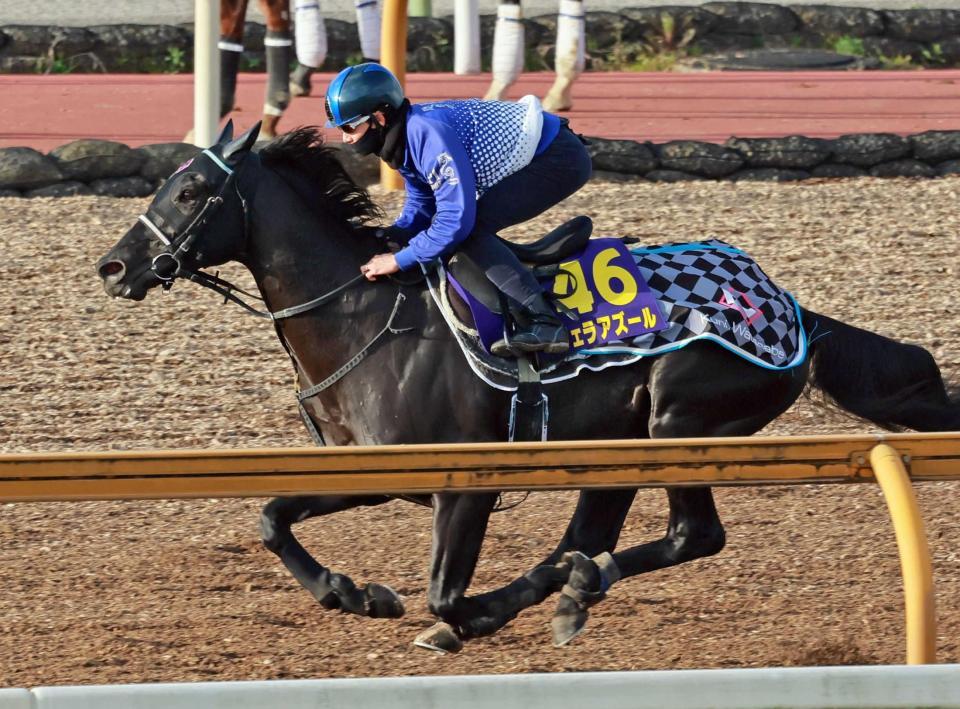 【有馬記念】ヴェラアズール 軽やかな脚取り 渡辺師「心配していない」/競馬・レース/デイリースポーツ online