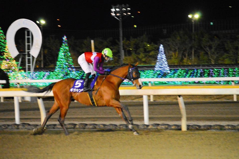 【8日 船橋11R 報知グランプリカップ・S3】ギガキングが得意舞台で連覇へ！/今週の注目レース/レース/デイリースポーツ online