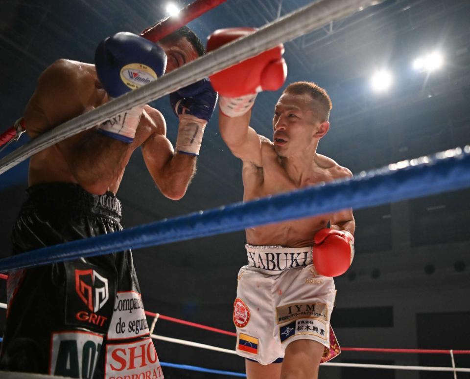 矢吹正道 11回TKOで完勝 IBF王座への挑戦権獲得「目標は世界王者」/ファイト/デイリースポーツ online