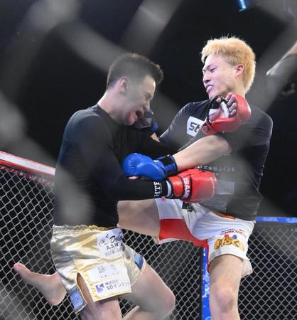 “闘う料理人”こめおが超10人ニキを魂の跳び膝KO葬「負けたら引退。怖かった」 延長6R死闘 敗者引退は撤回 BD8・5/ファイト/デイリースポーツ online