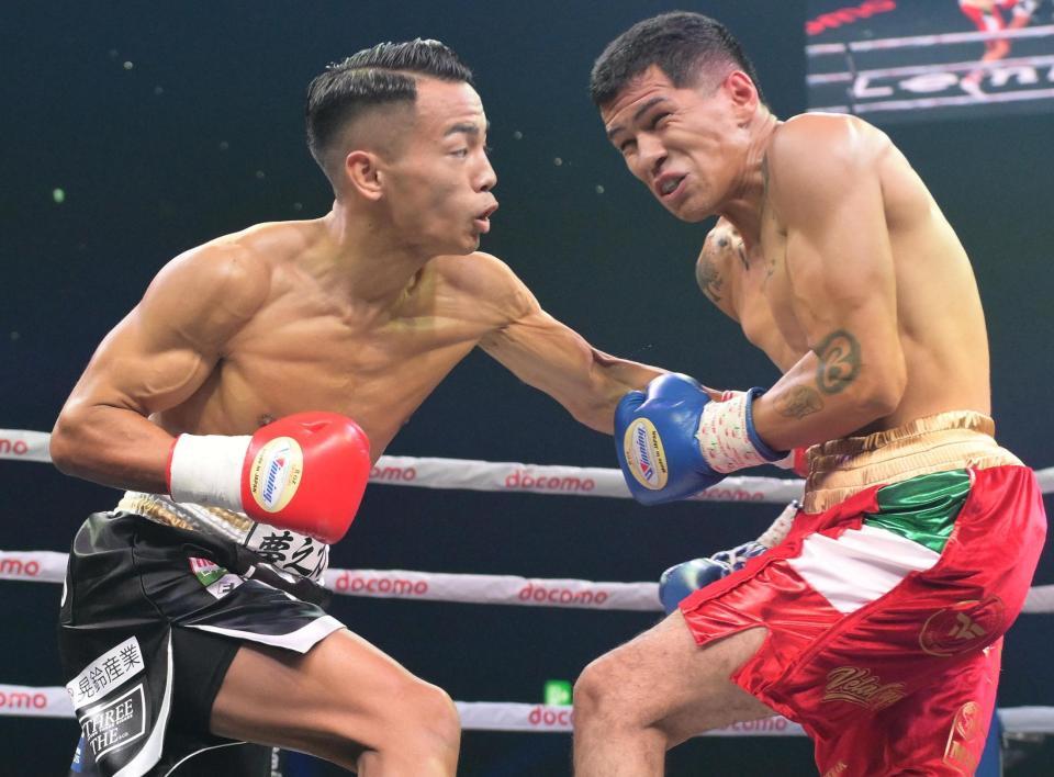 武居由樹が一撃必殺で2回KO勝ち デビュー8連勝8KO バンタム級での世界戦見据え「もっと技術を」/ファイト/デイリースポーツ online