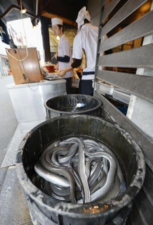 Bokep indonesia terbaru stw