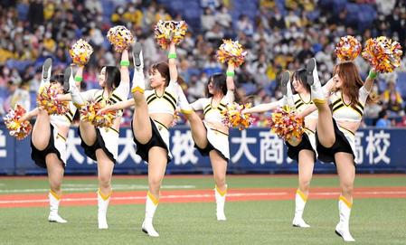 阪神「Tigers Girls」24年メンバーのオーディションを開催/阪神タイガース/デイリースポーツ online