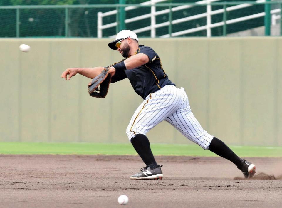 チェービーが台風の目？/吉田風取材ノート/タイガース/デイリースポーツ online