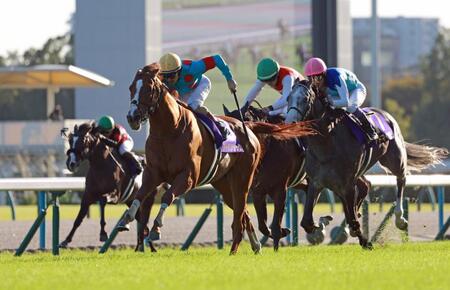 【1日船橋11R日本テレビ盃・Jpn2】フォーエバーヤングの相手はライトウォーリアが面白い/今週の注目情報/うま屋/デイリースポーツ online