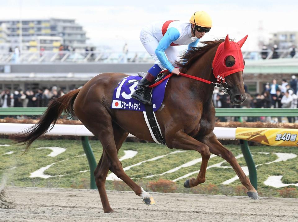 【5日 川崎11R スパーキングレディーカップJpn3】スピーディキックがJRA勢を撃破へ！/今週の注目情報/うま屋/デイリースポーツ online