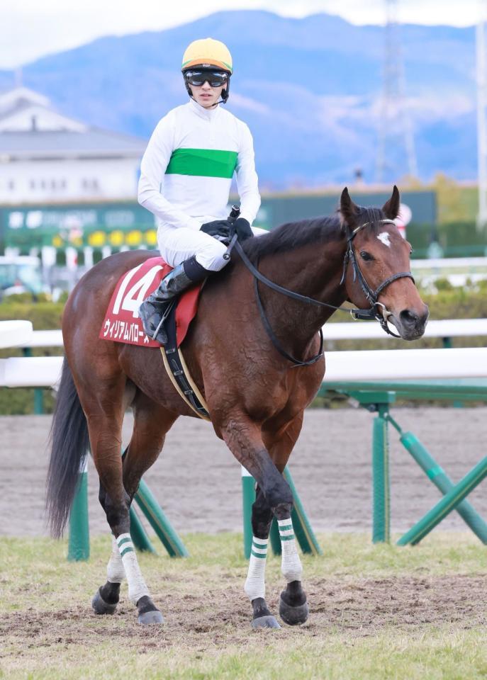 【1日船橋11Rかしわ記念・Jpn1】ウィリアムバローズが初のJpn1挑戦で勲章ゲットだ/今週の注目情報/うま屋/デイリースポーツ online