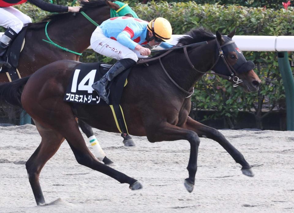 【2日船橋11Rマリーンカップ・Jpn3】プロミストジーンが重賞初挑戦で頂点に立つ/今週の注目情報/うま屋/デイリースポーツ online