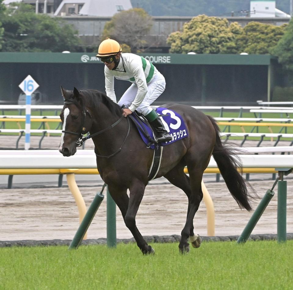 G1・2勝のソウルラッシュが故障 左第4中手骨骨折で3カ月以上休養の見込み 池江師「幸い症状は重くない。秋のローテーションに影響ない」/うま屋/デイリースポーツ online