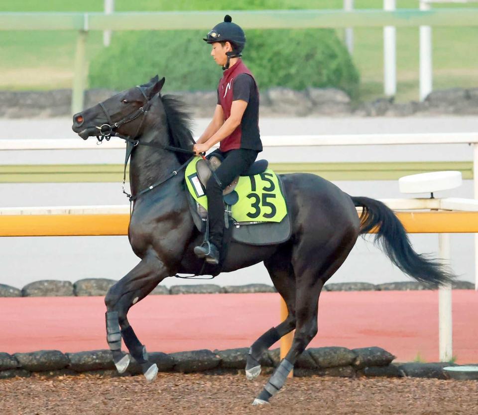 【新馬戦】半姉は3冠牝馬リバティアイランド 超良血馬コニーアイランドが初陣「まずまず動けている」/うま屋/デイリースポーツ online
