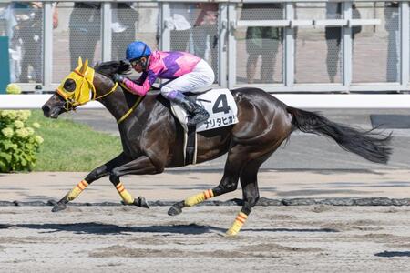 “レジェンド”武豊が前人未到JRA通算4600勝達成 9週連続Vで決めた！ 「一つ勝つのも大変ですから。重みを感じる数字」/うま屋/デイリースポーツ online