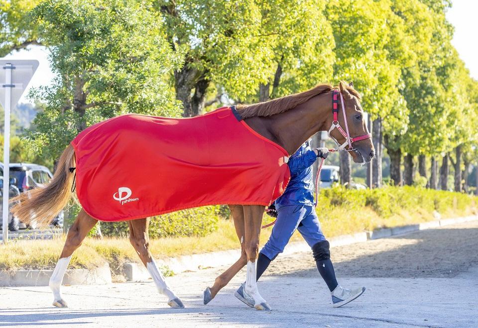 愛チャンピオンS＆凱旋門賞の馬券をJRAが発売決定/うま屋/デイリースポーツ online