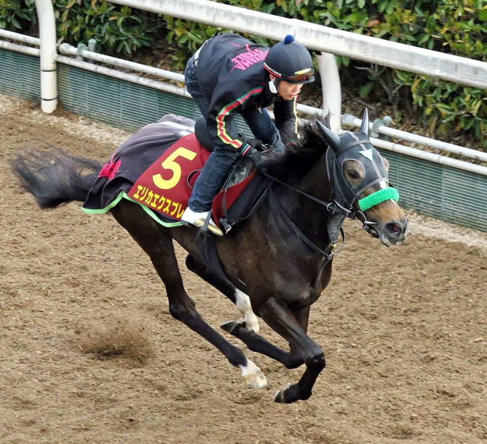 【札幌＆阪神＆中山の危険な人気馬】エリカエクスプレス 中山11R・京成杯AH/うま屋/デイリースポーツ online