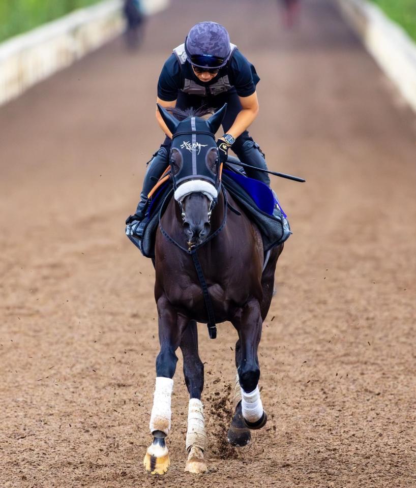 【阪神＆中山の危険な人気馬】ナムラクレア 中山11R・スプリンターズS/うま屋/デイリースポーツ online