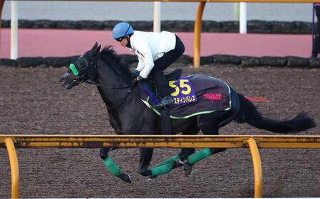 【地方競馬】JBCクラシック ジパング脚取り軽快 Jpn1初制覇へ機は熟した 千八への舞台変わり歓迎/うま屋/デイリースポーツ online