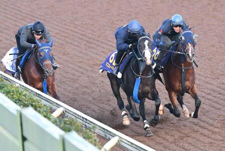 【地方競馬】JBCクラシック ジパング脚取り軽快 Jpn1初制覇へ機は熟した 千八への舞台変わり歓迎/うま屋/デイリースポーツ online