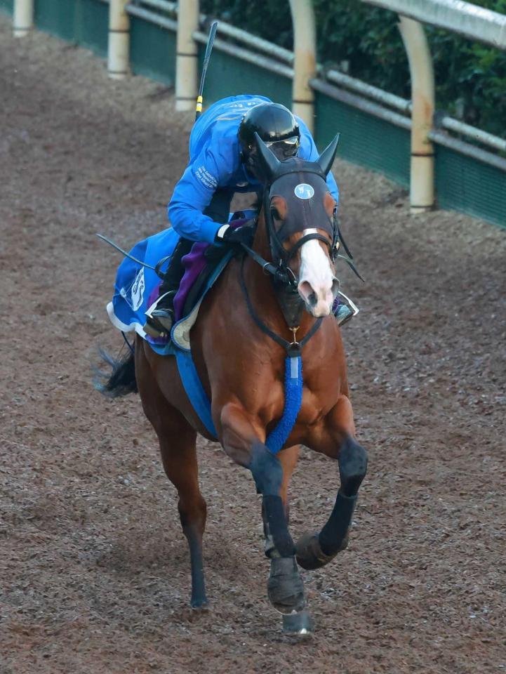 【地方競馬】JBCスプリント ママコチャ伸び伸び走 血統合う初砂で新境地切り開く 池江師も仕上がりに納得/うま屋/デイリースポーツ online