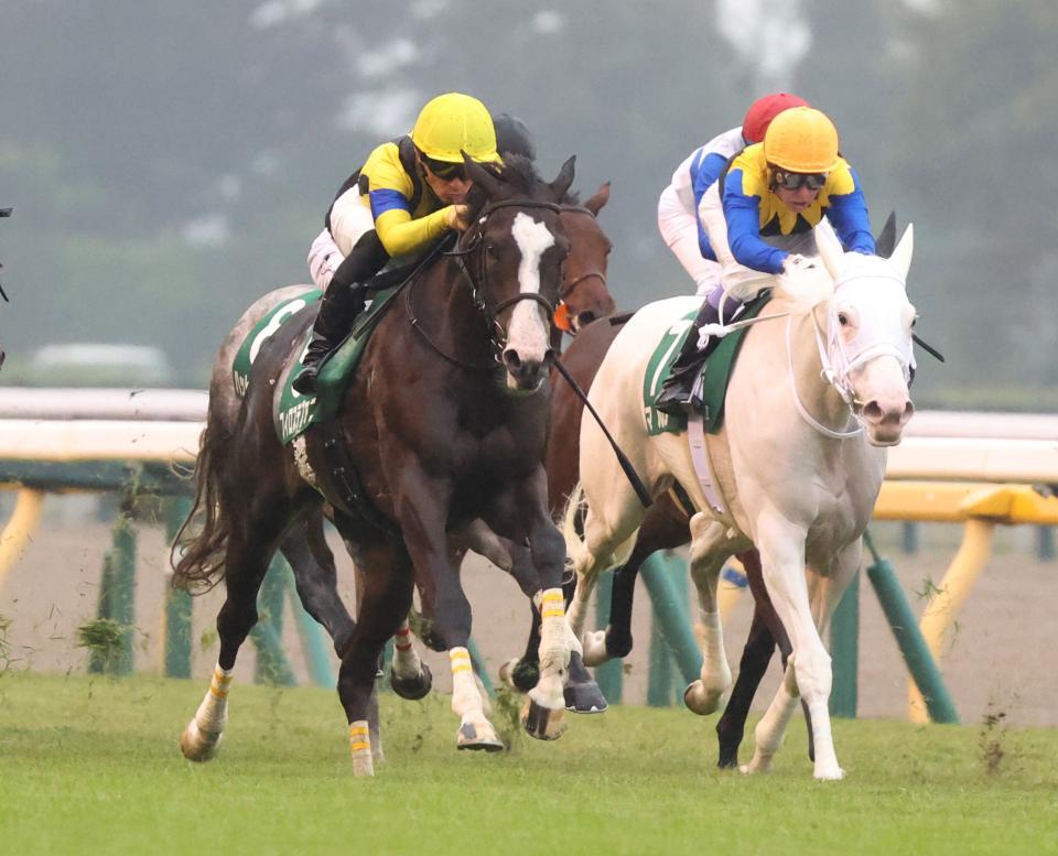 【POG】フィロステファニが屈腱炎…早い復帰を願っています（美浦発）/うま屋/デイリースポーツ online