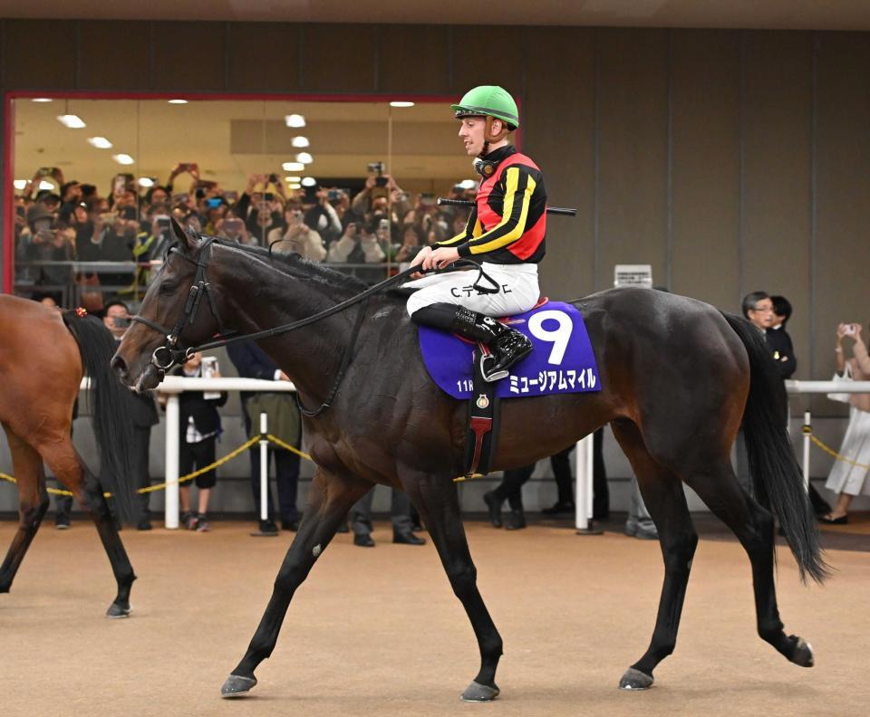 【天皇賞】ミュージアムマイル 無念の銀 同世代マスカレードボールに0秒1差届かず 左回りで初の連対に収穫/うま屋/デイリースポーツ online